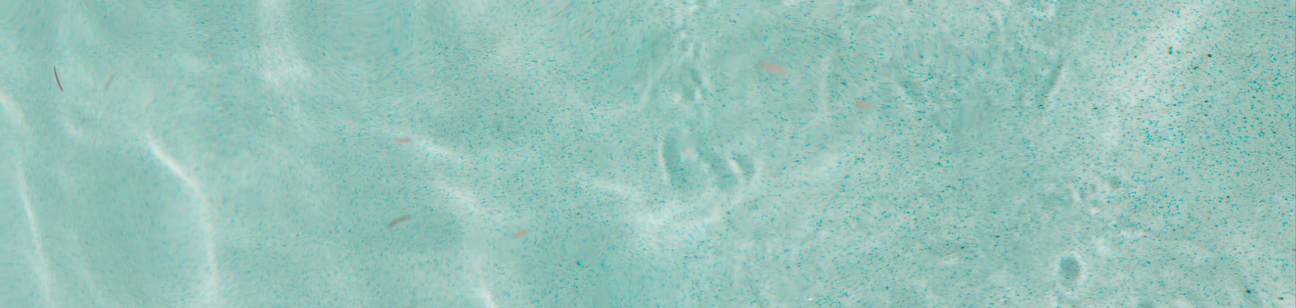 Lyssé New York | Urban-inspired, comfort-focused women's fashion – LYSSÉ